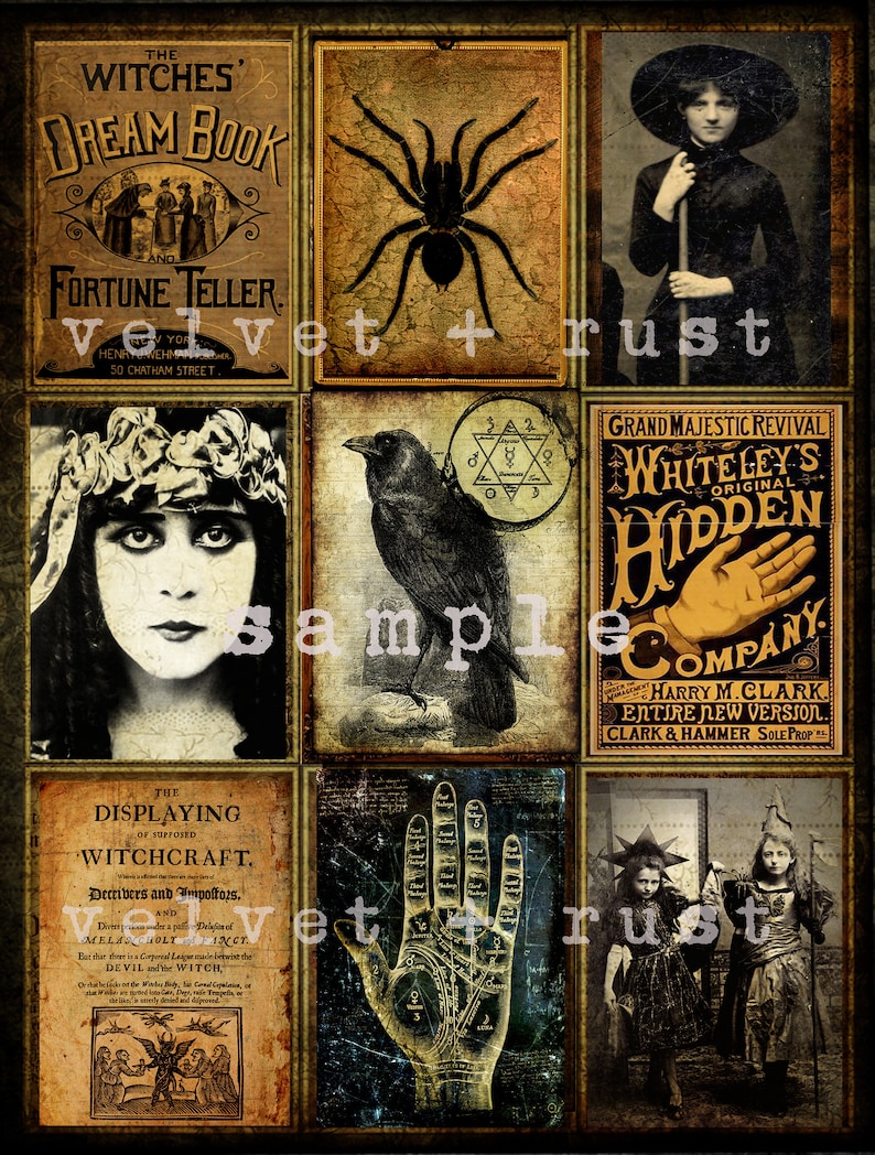 Tarot Witch Vintage Victorian Fortune Teller Gypsy Raven - Etsy Australia