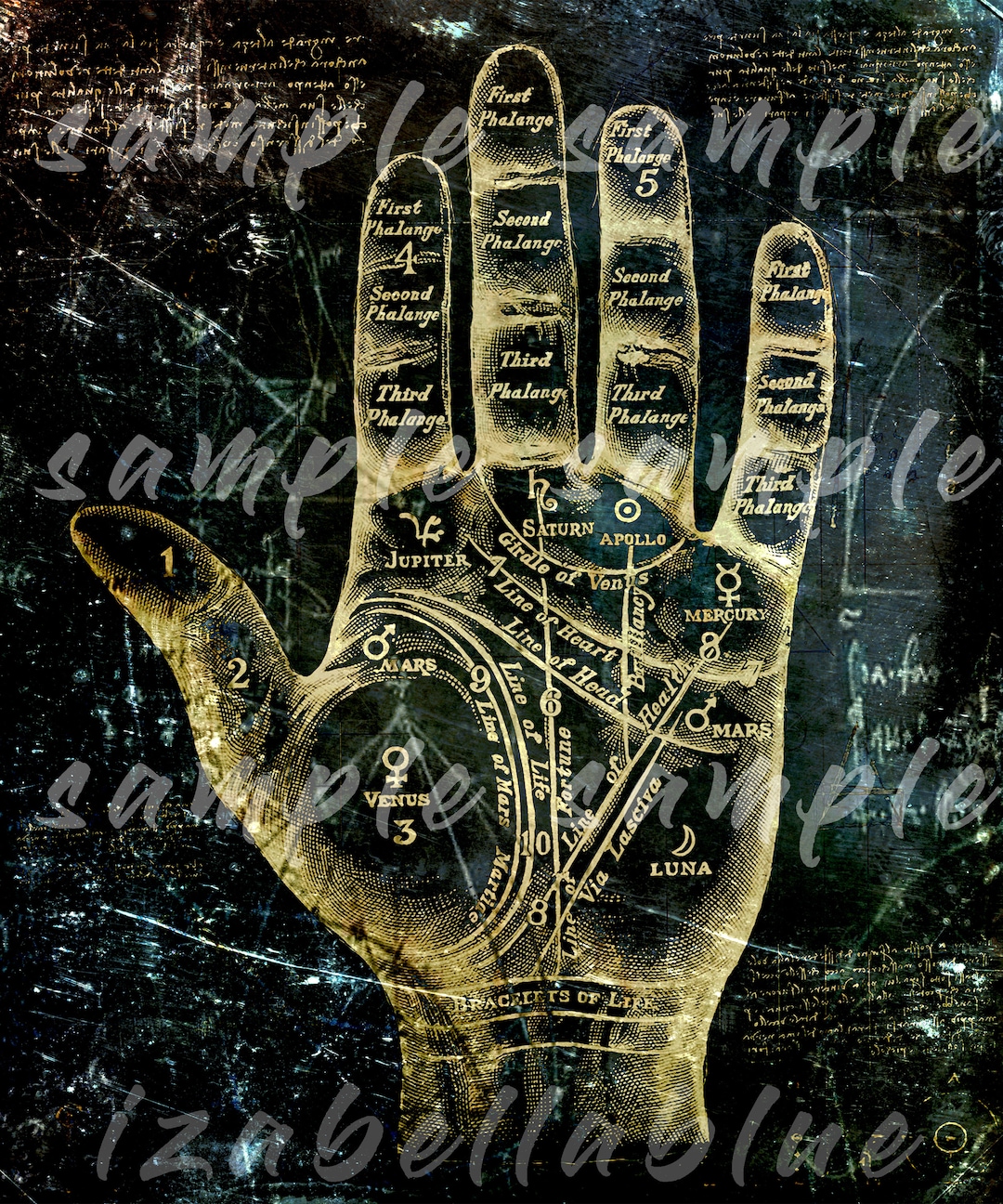 PALMISTRY Antique ILLUSTRATION Digital Download Hand Reading Chart ...