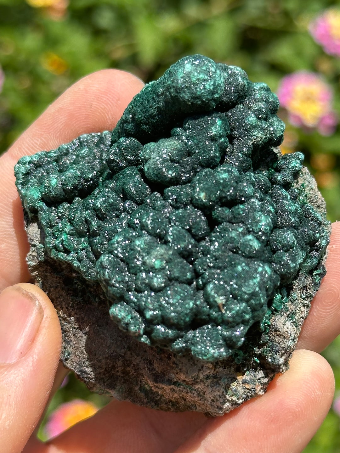 Top Quality Botryoidal Velvet Malachite Brain Amazing Showpiece, Great ...