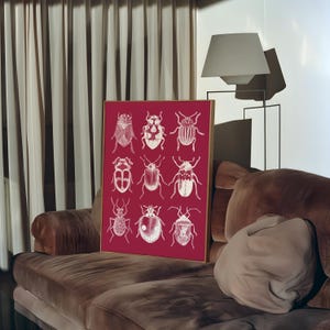 Burgundy Beetle Print, Vintage Style Bug Illustration, Retro Insect ...