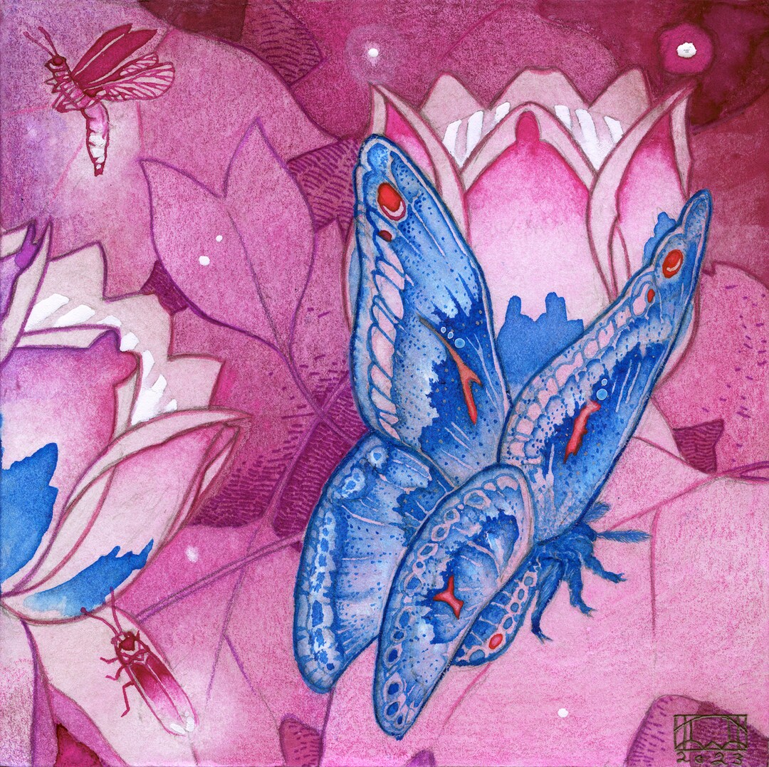 Illuminus Pink Reproduction Canvas Print 8x8 or Fireflies, Moths, Tulip ...