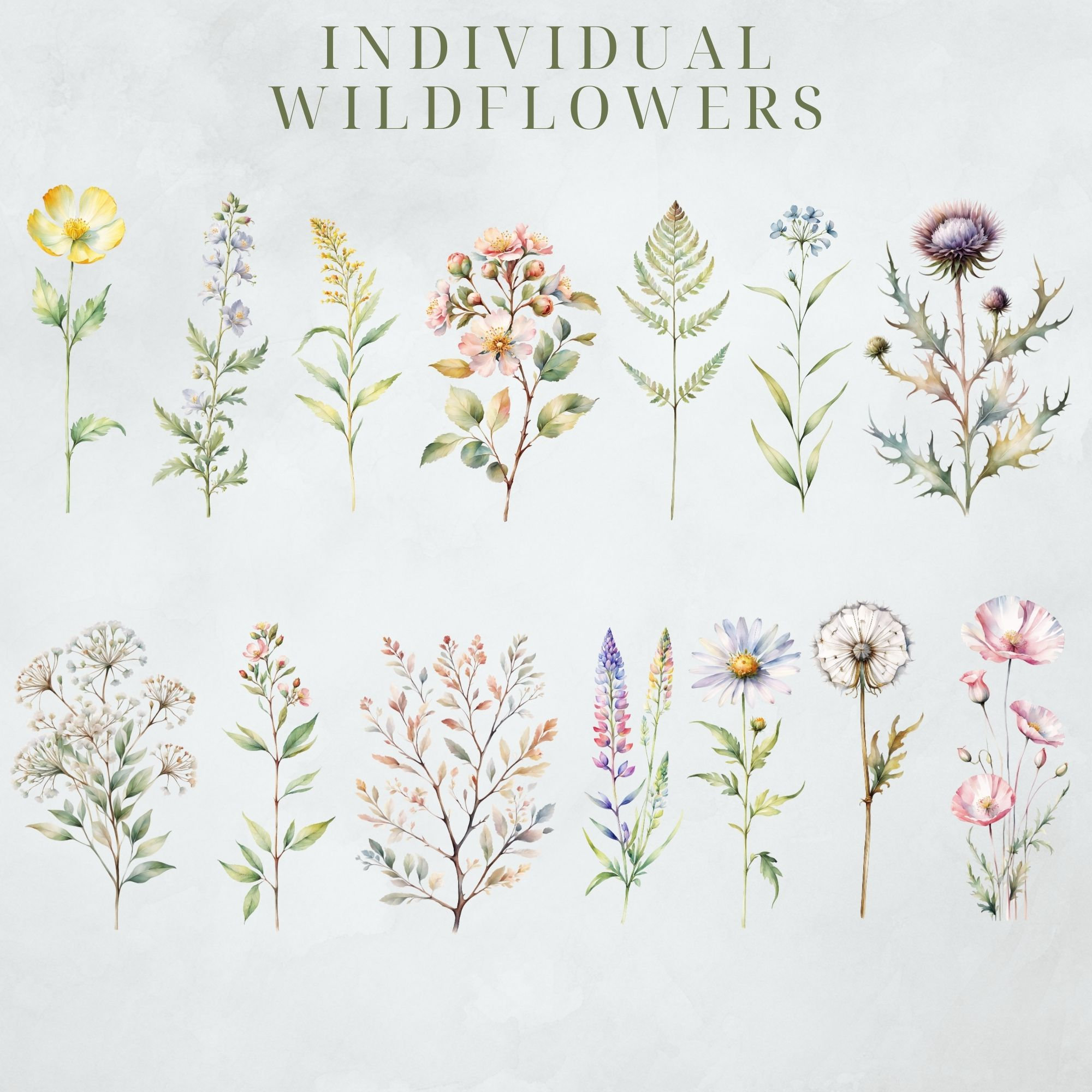 Wildflower Clipart Botanical Watercolor Floral Wedding Invitation Wild ...
