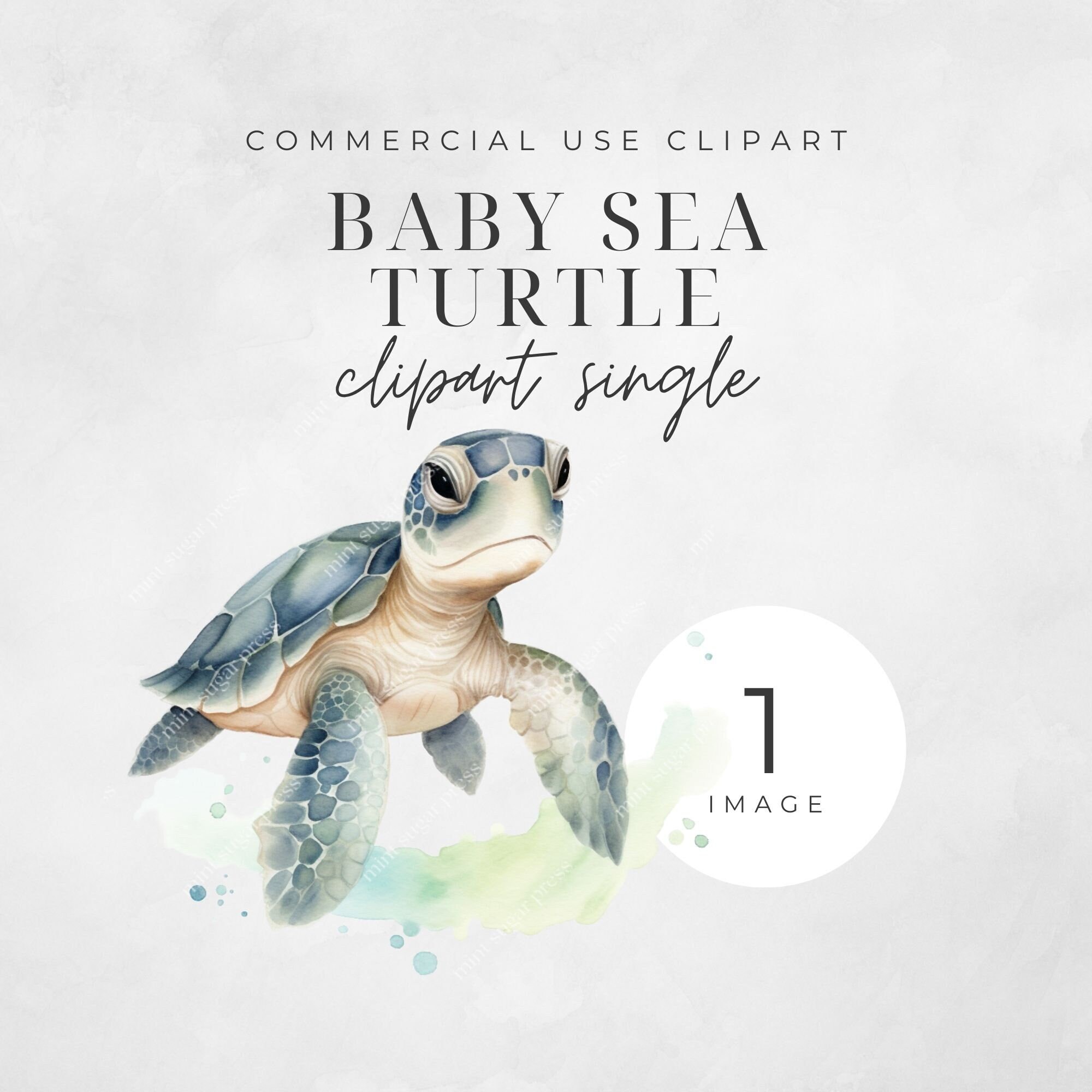 Sea Turtle Clipart PNG, Watercolor Turtle, Undersea Ocean Clip Art ...