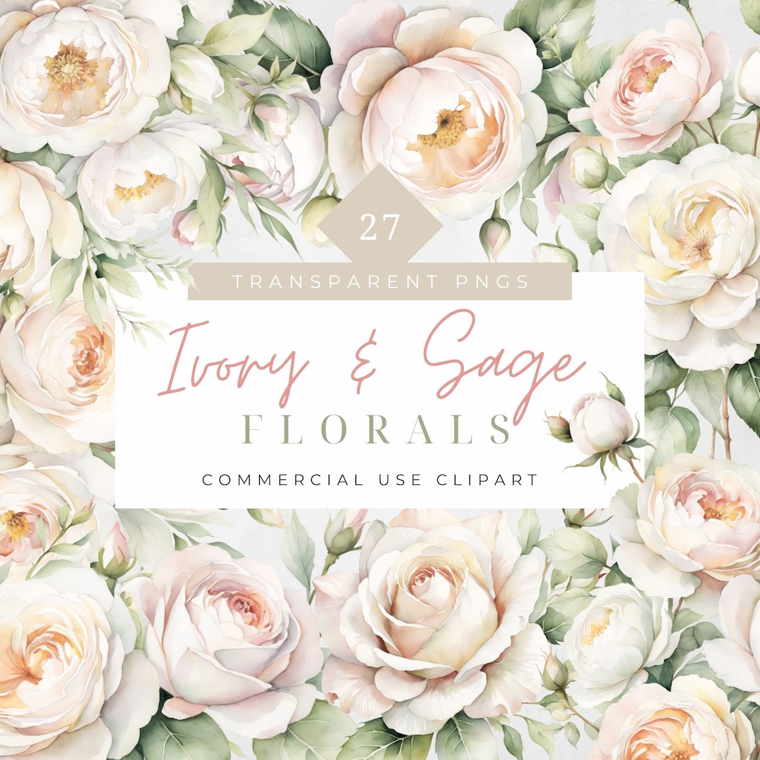 Ivory Floral Clipart White Roses Bouquets Sage Green Bouquet Collection ...