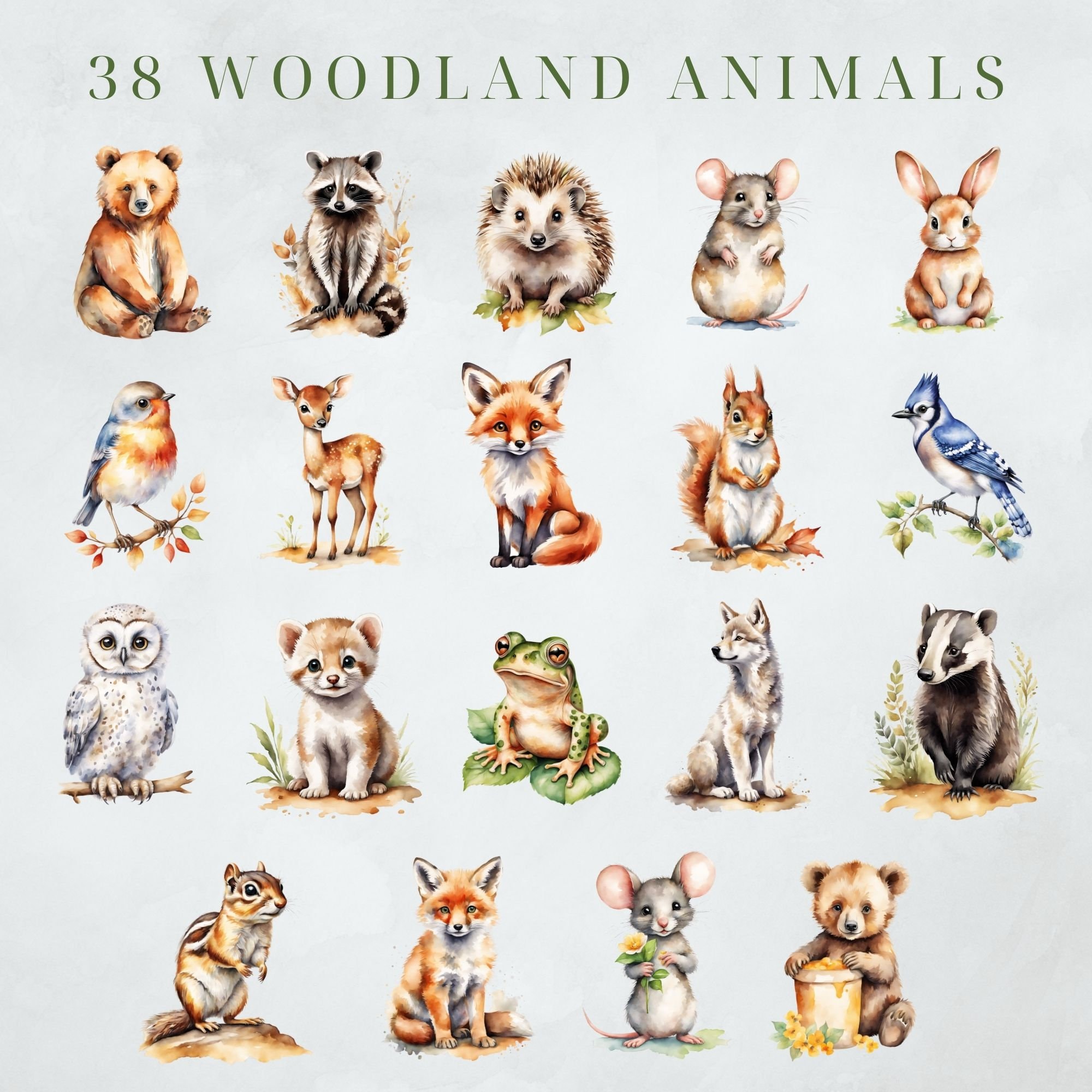 Watercolor Animals Clipart Pack Bundle Woodland Baby Animal Png Cute ...