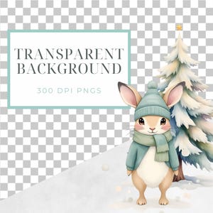Winter Woodland Animals Clipart Forest Friends Woodland Clipart Winter ...