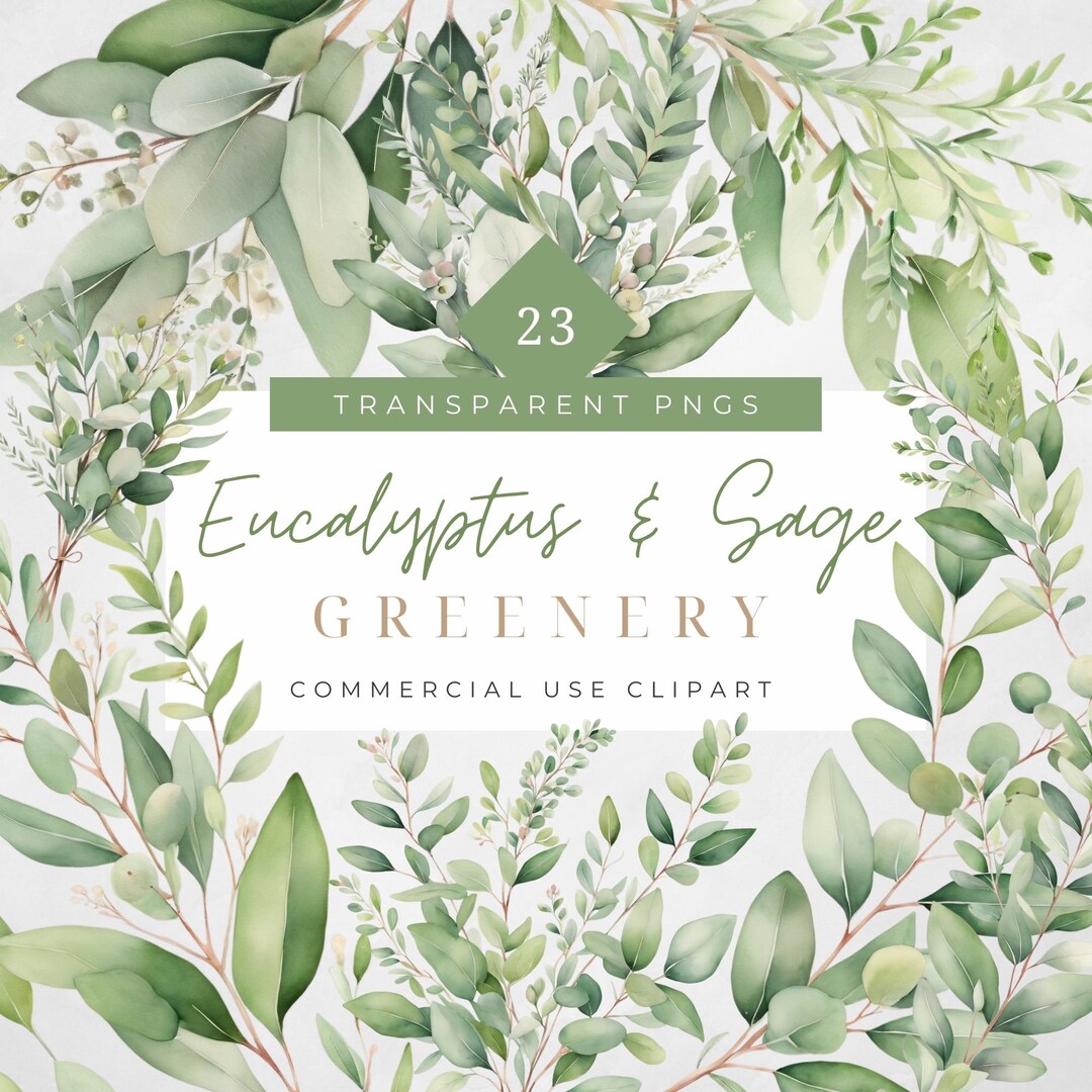Eucalyptus Leaves Clipart Eucalyptus Frame Greenery Clipart Eucalyptus Bundle Foliage Clipart ...