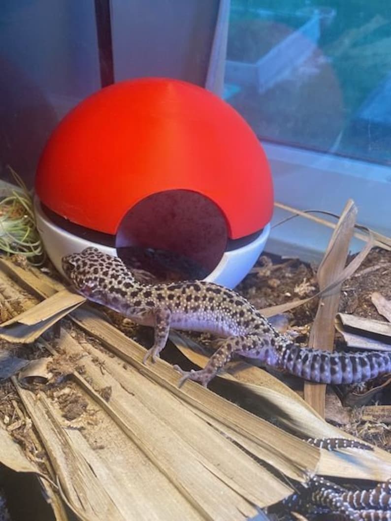 Pokeball Reptile Hide | Pokémon-themed Habitat Accessory | Perfect for ...