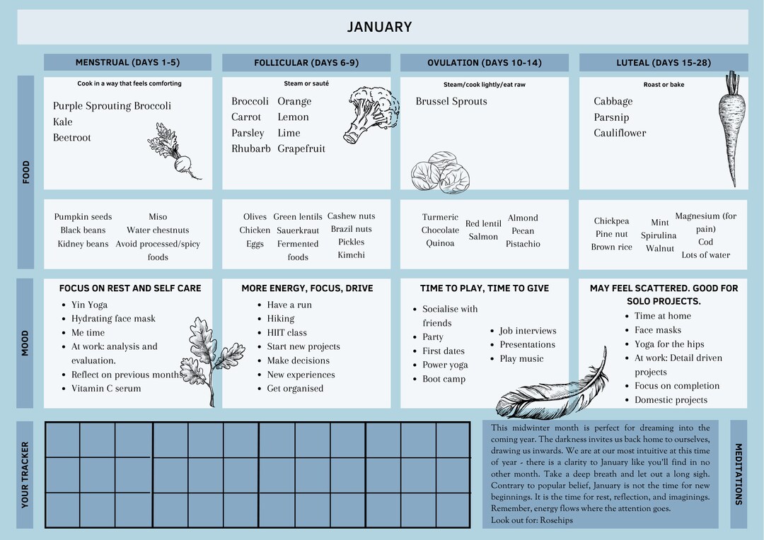 Seasonal Food Cycle Syncing Calendar - Etsy