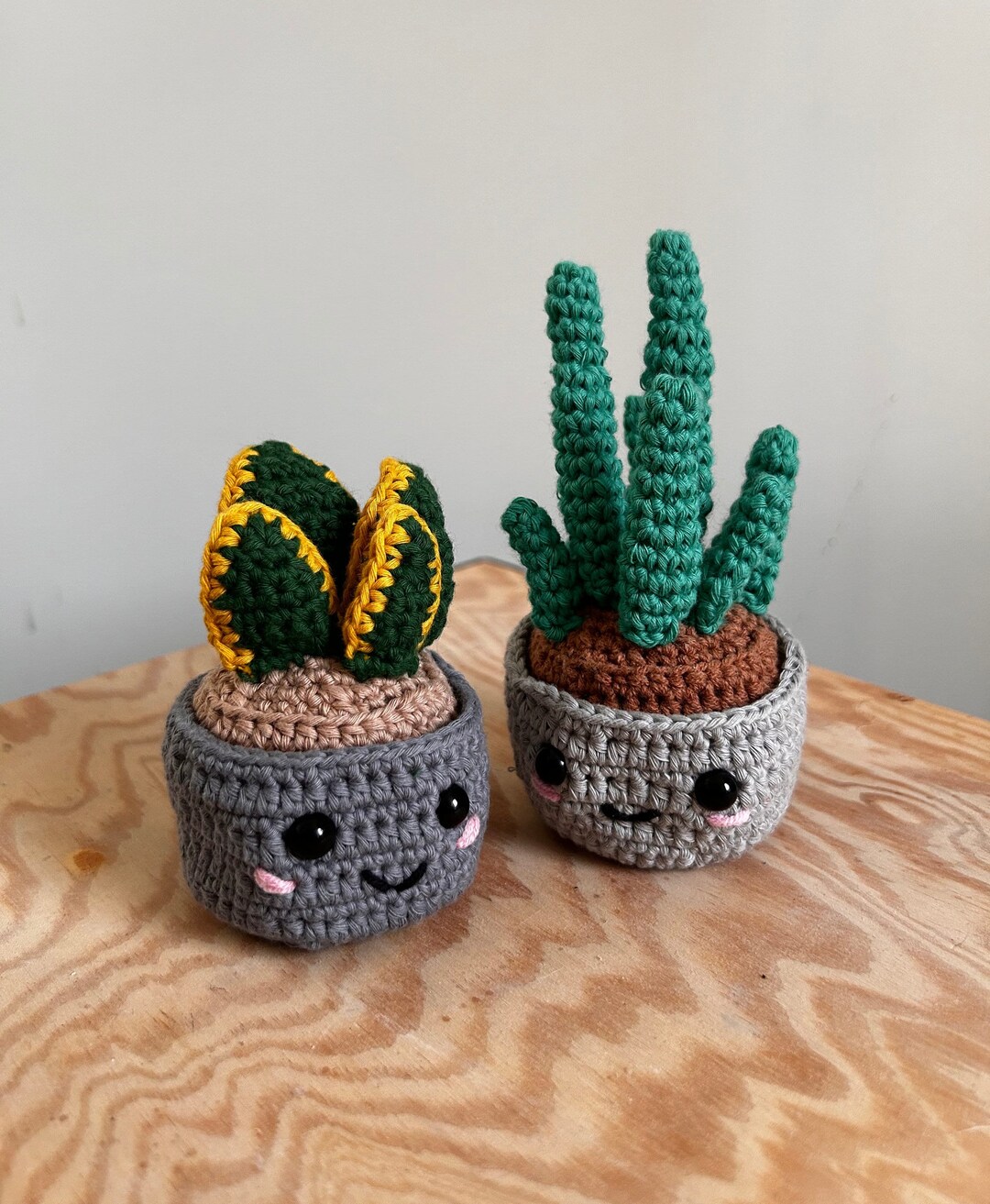 Succulent Crochet Adorable Home Decor Unique Gift Idea Knit Plant Knit ...