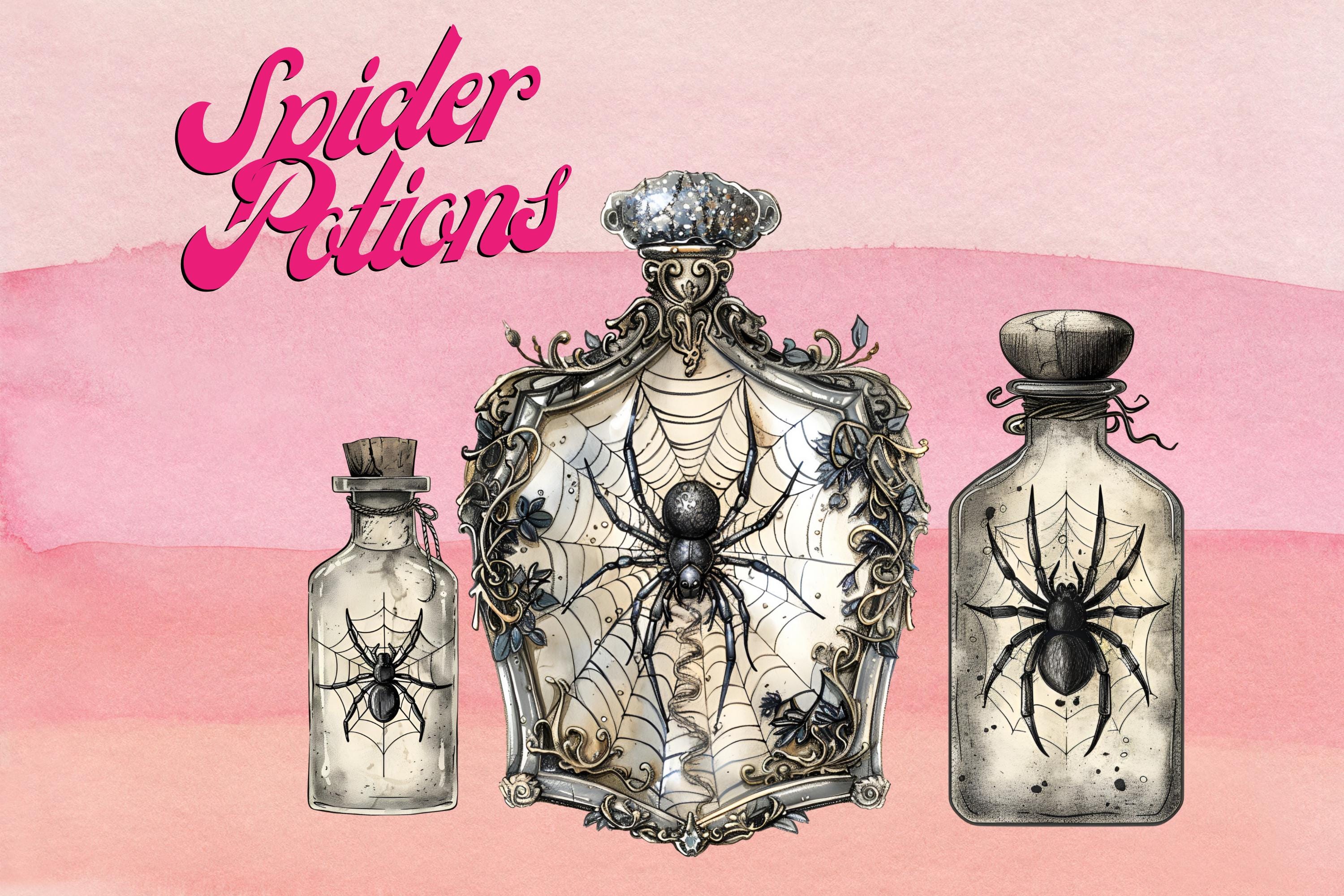 Spider Potion Clip Art Witch Potion Labels Witchy Potion Bottle Art ...