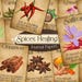 Vintage Spice Cards Apothecary Spice Healing Journal Pages Vintage ...