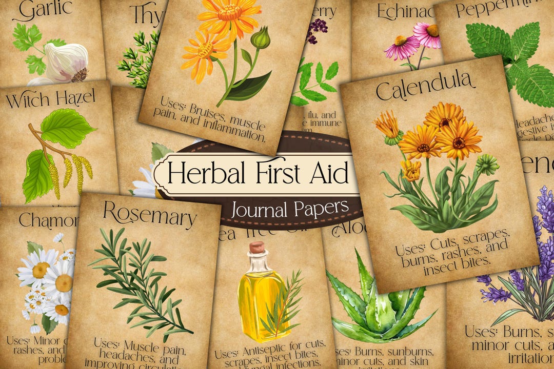 Apothecary Herbal First Aid Journal Pages Botanical Herb Pages ...