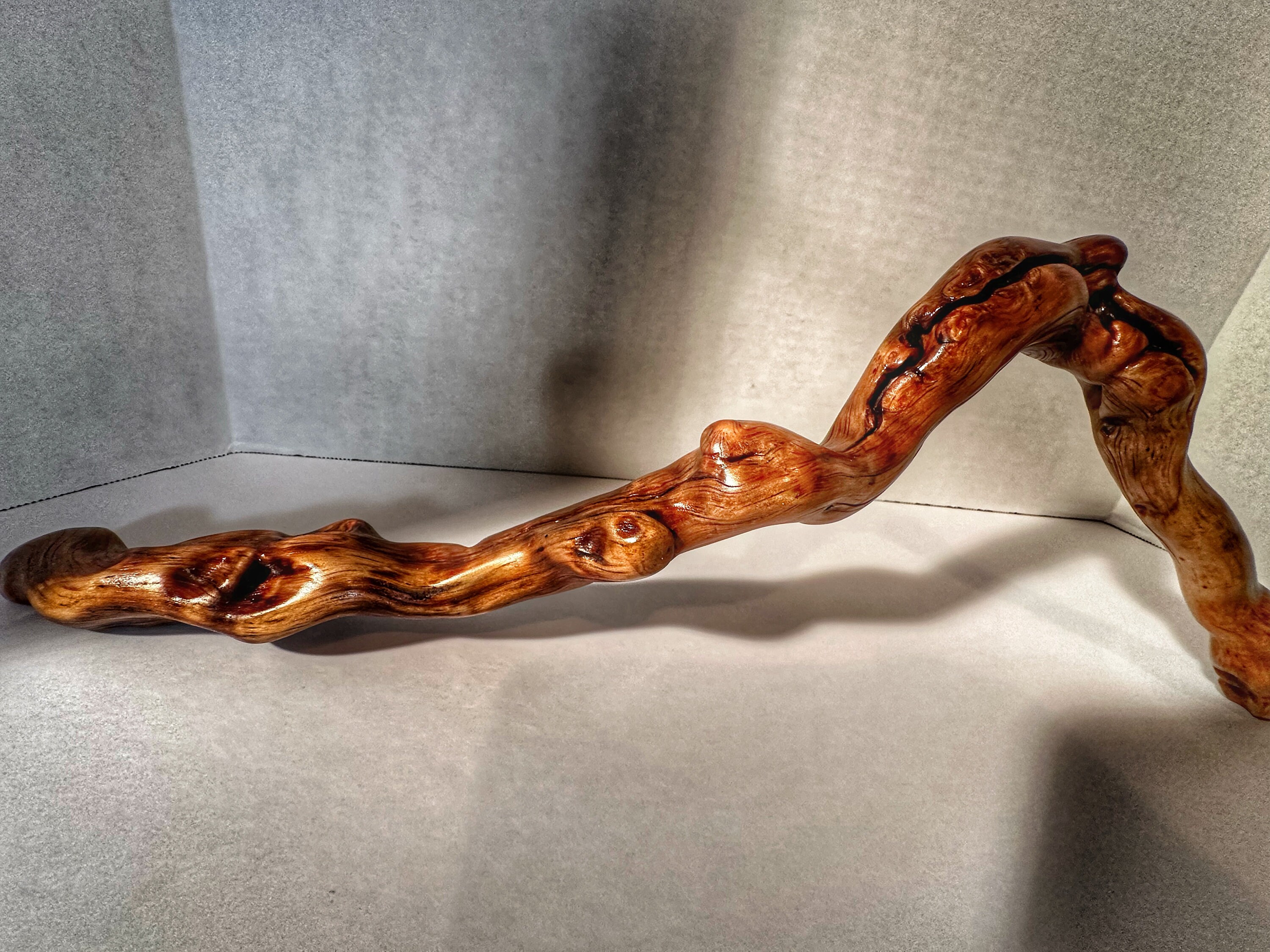 Twisted Cedar Root Arch Sculpture kanarra's Perch Driftwood Art 5th ...