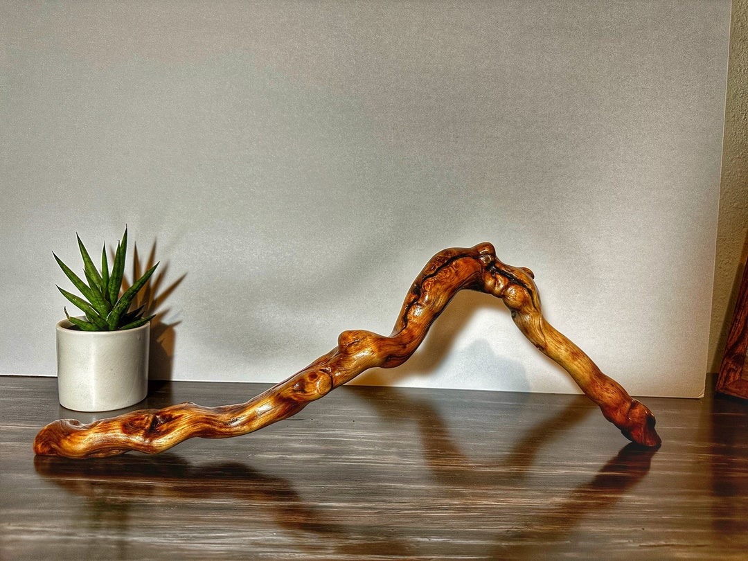 Twisted Cedar Root Arch Sculpture kanarra's Perch Driftwood Art 5th ...