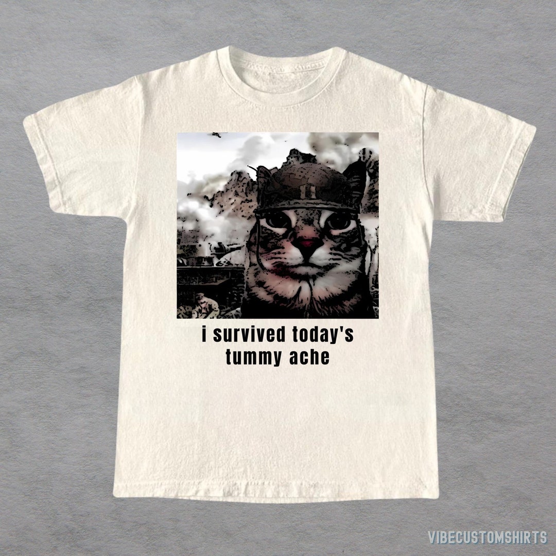 I Survived Today's Tummy Ache Unisex Meme Shirt, Tummy Ache Survivor ...