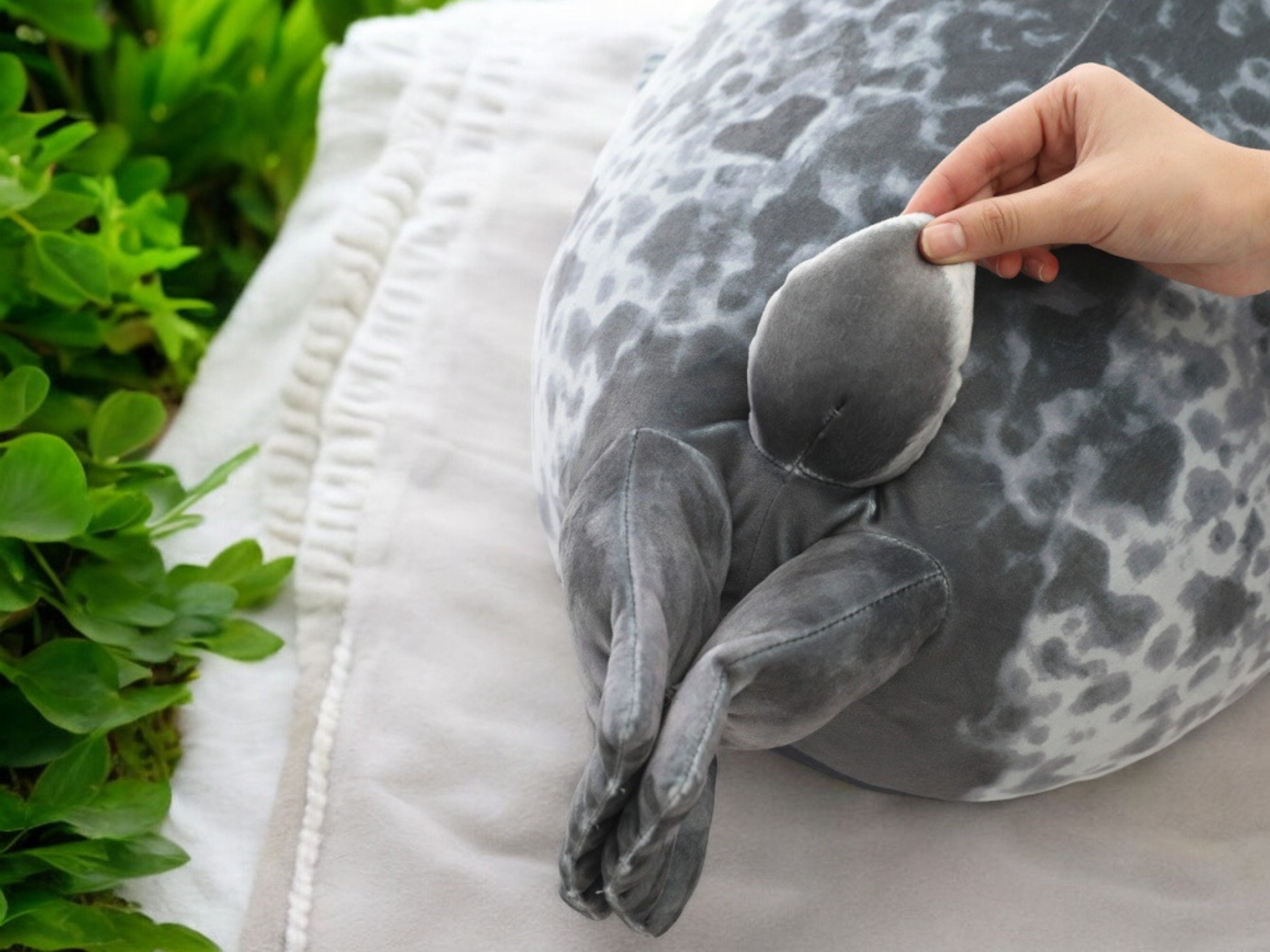 Seal Plush Seal Plushie Seal Pillow Animal Plush Animal Pillow Novelty ...