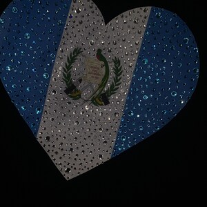 Karol G Inspired Rhinestone/crystal Flag Custom Shirts - Etsy