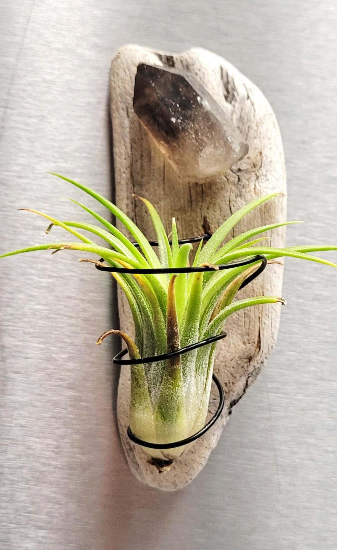 Air Plant Magnets With Driftwood & Crystals - Etsy
