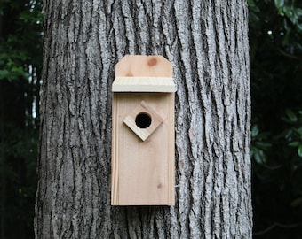 Cedar Bluebird House With Predator Guard - Etsy