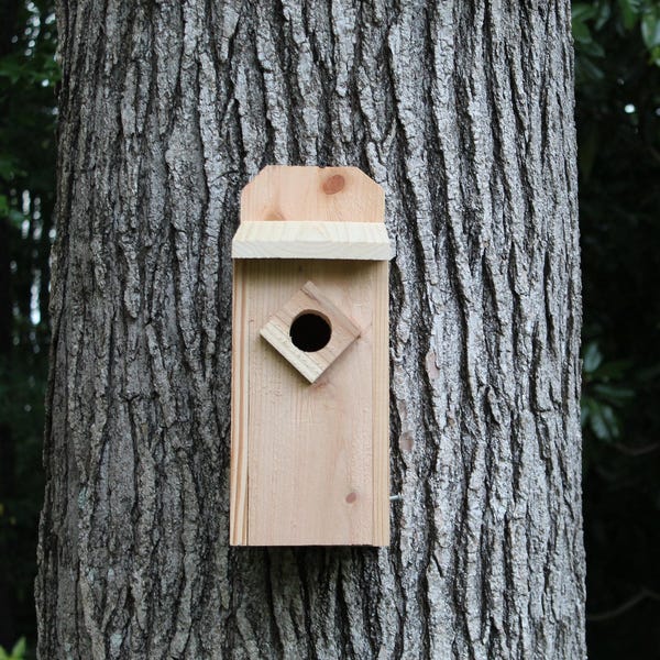 Bird House Predator Guard - Etsy