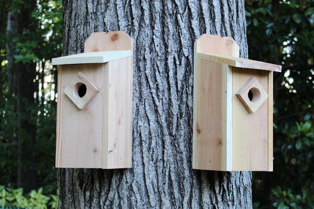 2 Cedar Wood Bluebird Houses Nest Boxes With Predator Guard - Etsy