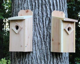 Cedar Bluebird House With Predator Guard - Etsy