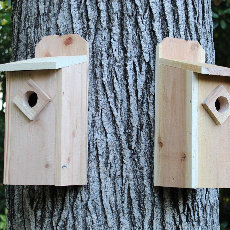 Bird House Predator Guard - Etsy