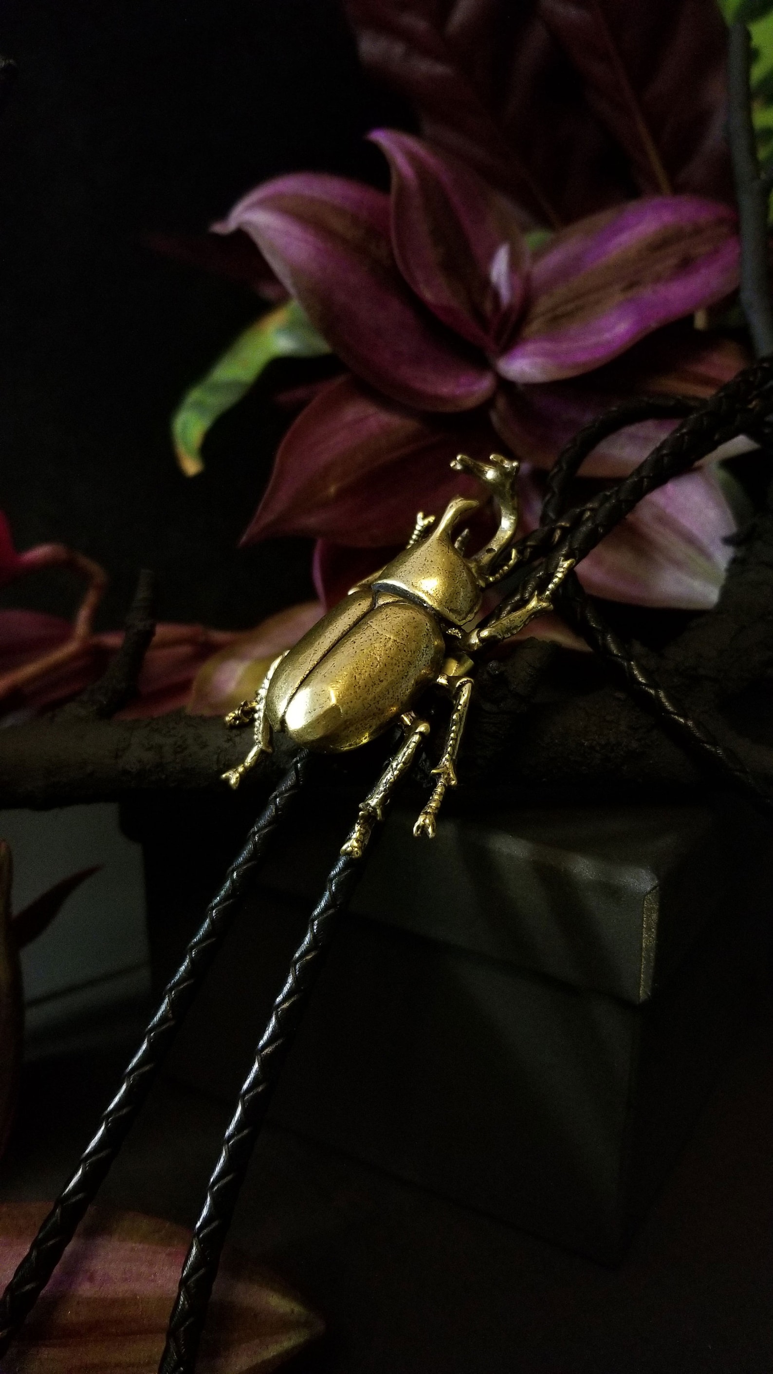 JAPANESE RHINOCEROS Big Bad Beetle Bolos Brass Insect Bolo Tie Men Gift ...