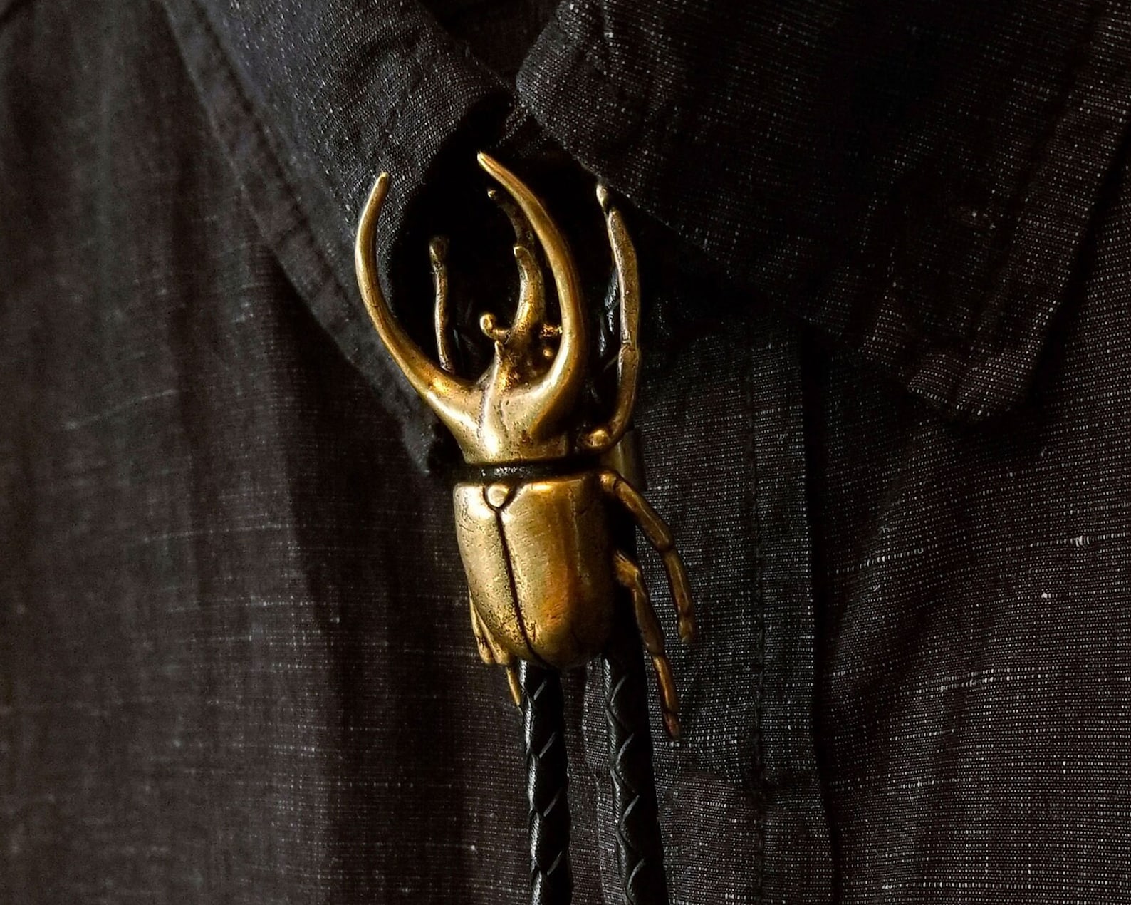 ATLAS - Big Bad Beetle Bolos - Brass Insect Bolo Tie Jewelry for Men ...