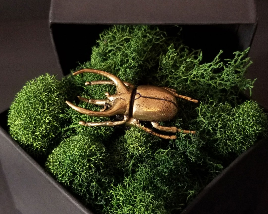 ATLAS Big Bad Beetle Bolos Brass Insect Bolo Tie - Etsy