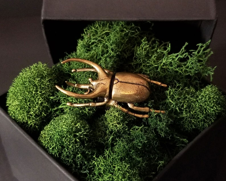 ATLAS Big Bad Beetle Bolos Brass Insect Bolo Tie - Etsy