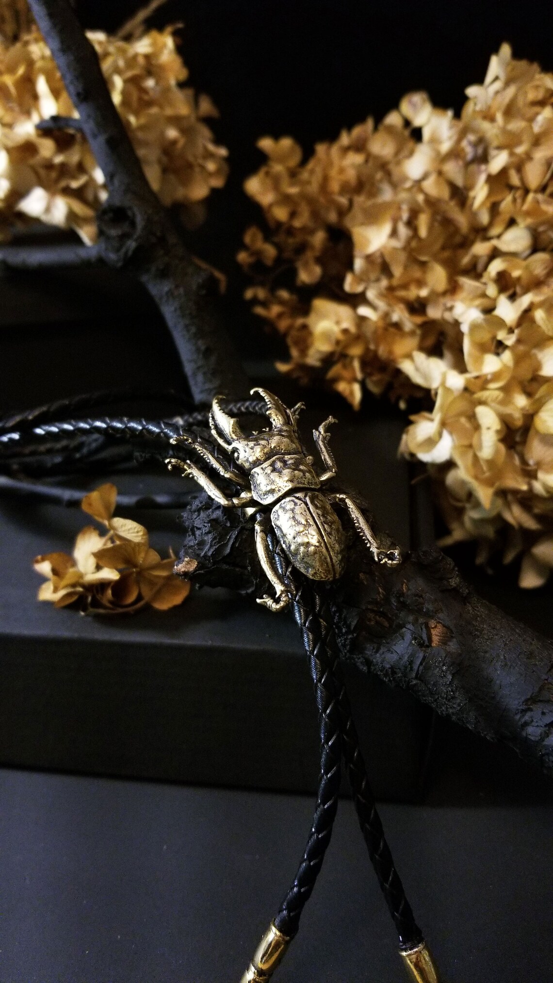 STAG Big Bad Beetle Bolos Brass Insect Bolo Tie - Etsy