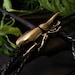 HERCULES - Big Bad Beetle Bolos - Brass Insect Bolo Tie Fashion Jewelry ...