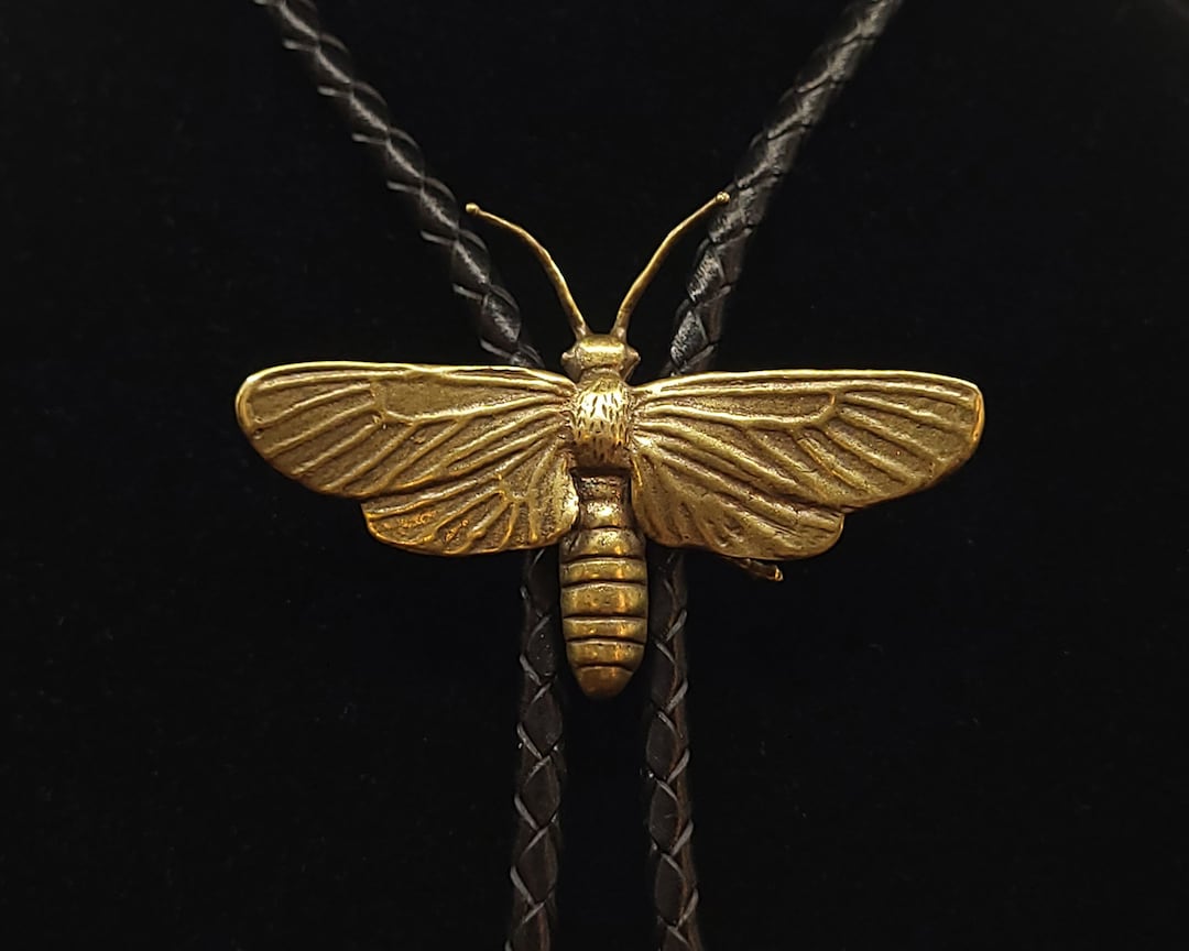 HAWK MOTH - Big Bad Beetle Bolos - Brass Insect Bolo Tie Dark Academia Gift Men Jewelry Moth ...