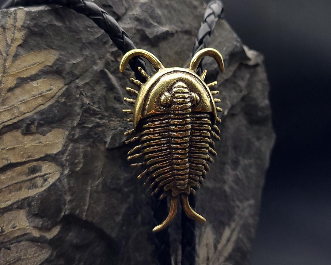TRILOBITE - Big Bad Beetle Bolos - Brass Fossil Bolo Tie Jewelry for ...