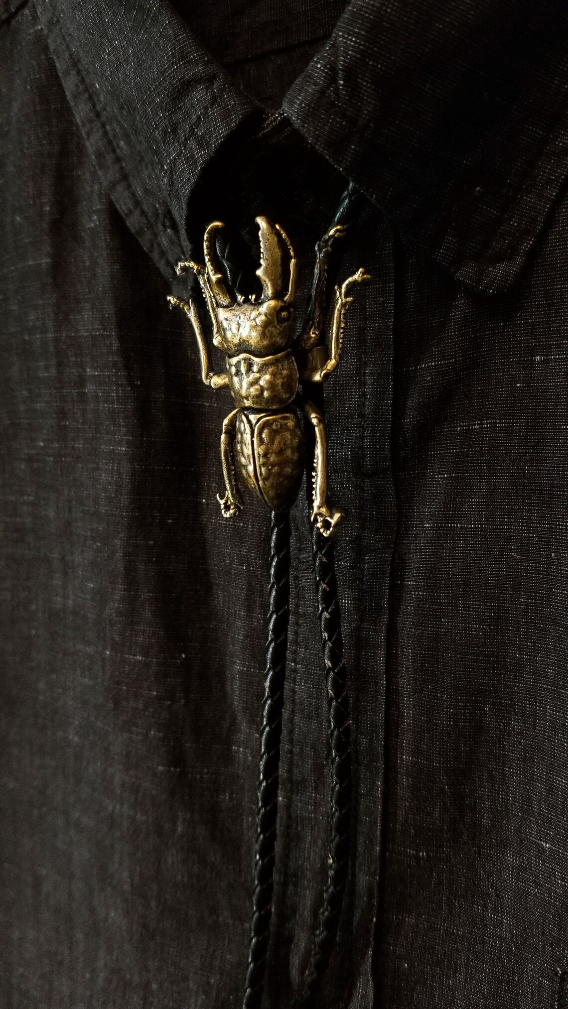 STAG Big Bad Beetle Bolos Brass Insect Bolo Tie - Etsy