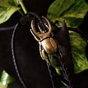 ATLAS - Big Bad Beetle Bolos - Brass Insect Bolo Tie Jewelry for Men ...
