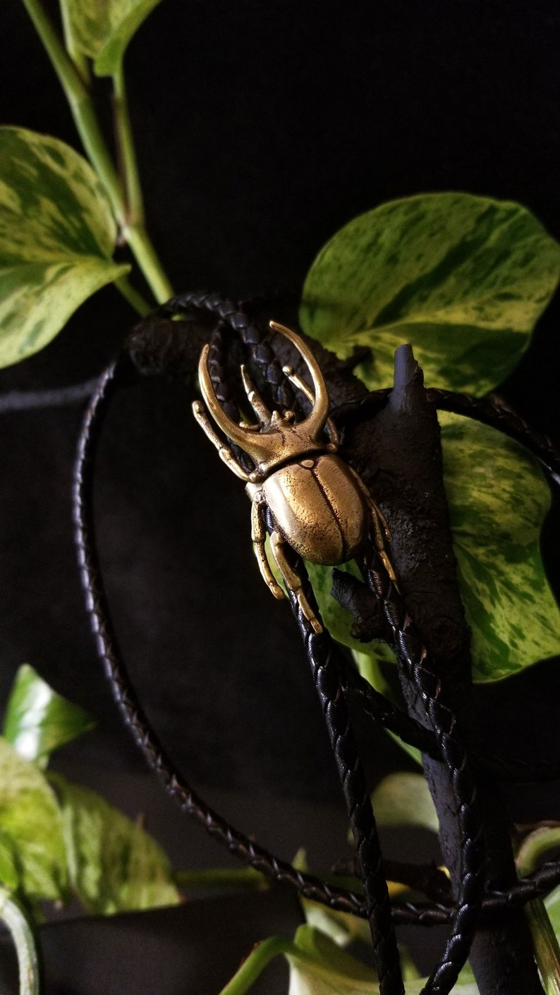 ATLAS Big Bad Beetle Bolos Brass Insect Bolo Tie - Etsy