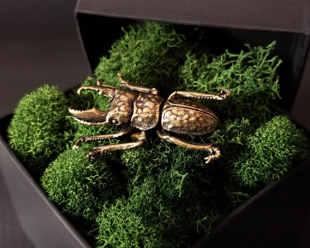 STAG Big Bad Beetle Bolos Brass Insect Bolo Tie - Etsy