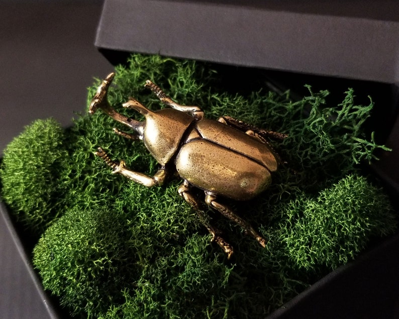 JAPANESE RHINOCEROS Big Bad Beetle Bolos Brass Insect Bolo - Etsy