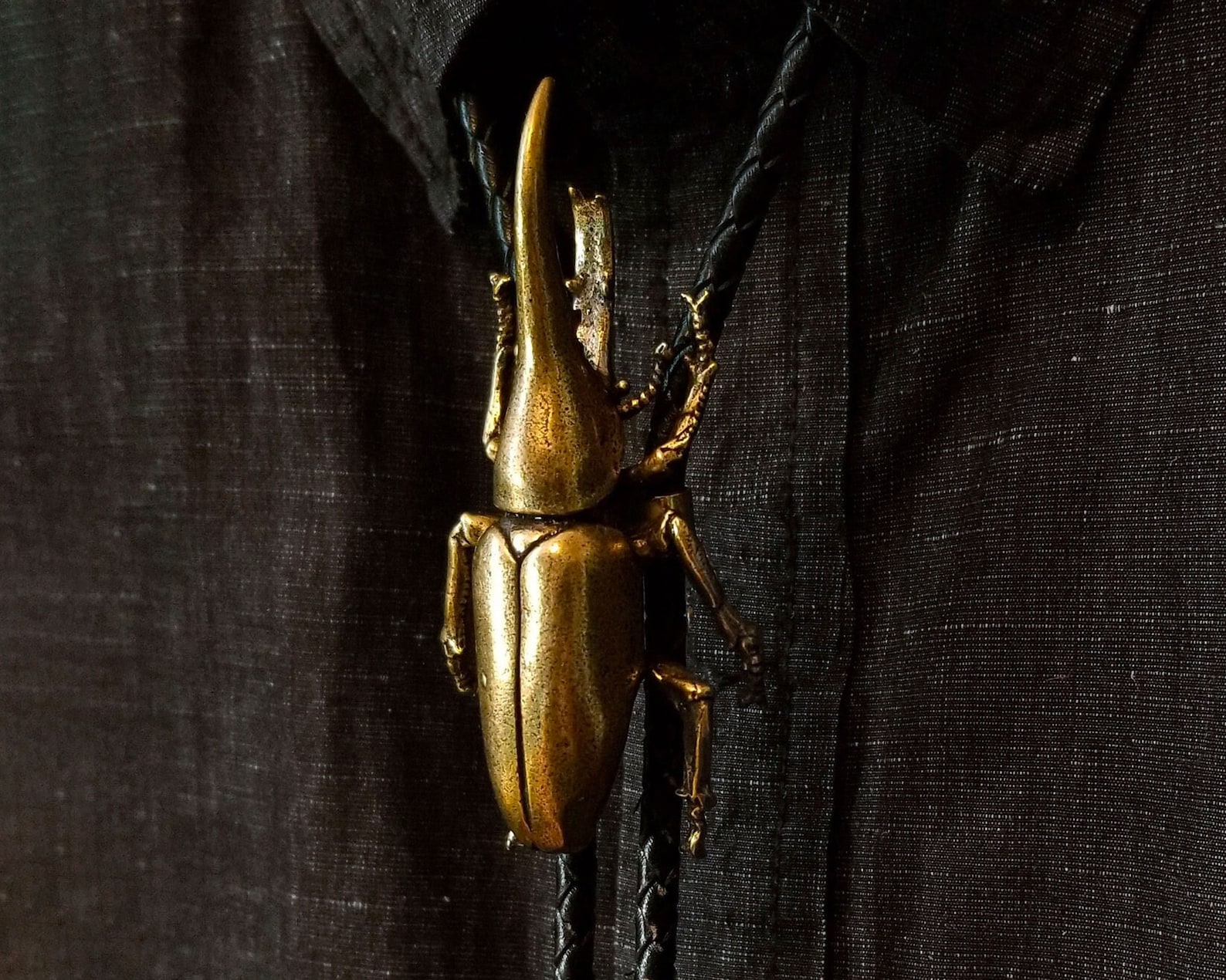 HERCULES - Big Bad Beetle Bolos - Brass Insect Bolo Tie Fashion Jewelry ...