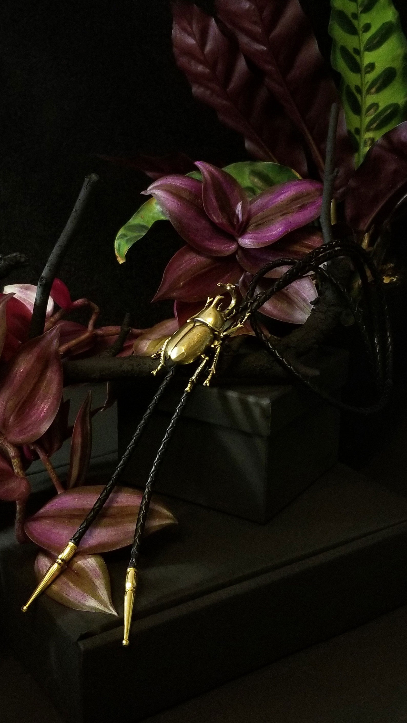 JAPANESE RHINOCEROS Big Bad Beetle Bolos Brass Insect Bolo Tie Men Gift ...