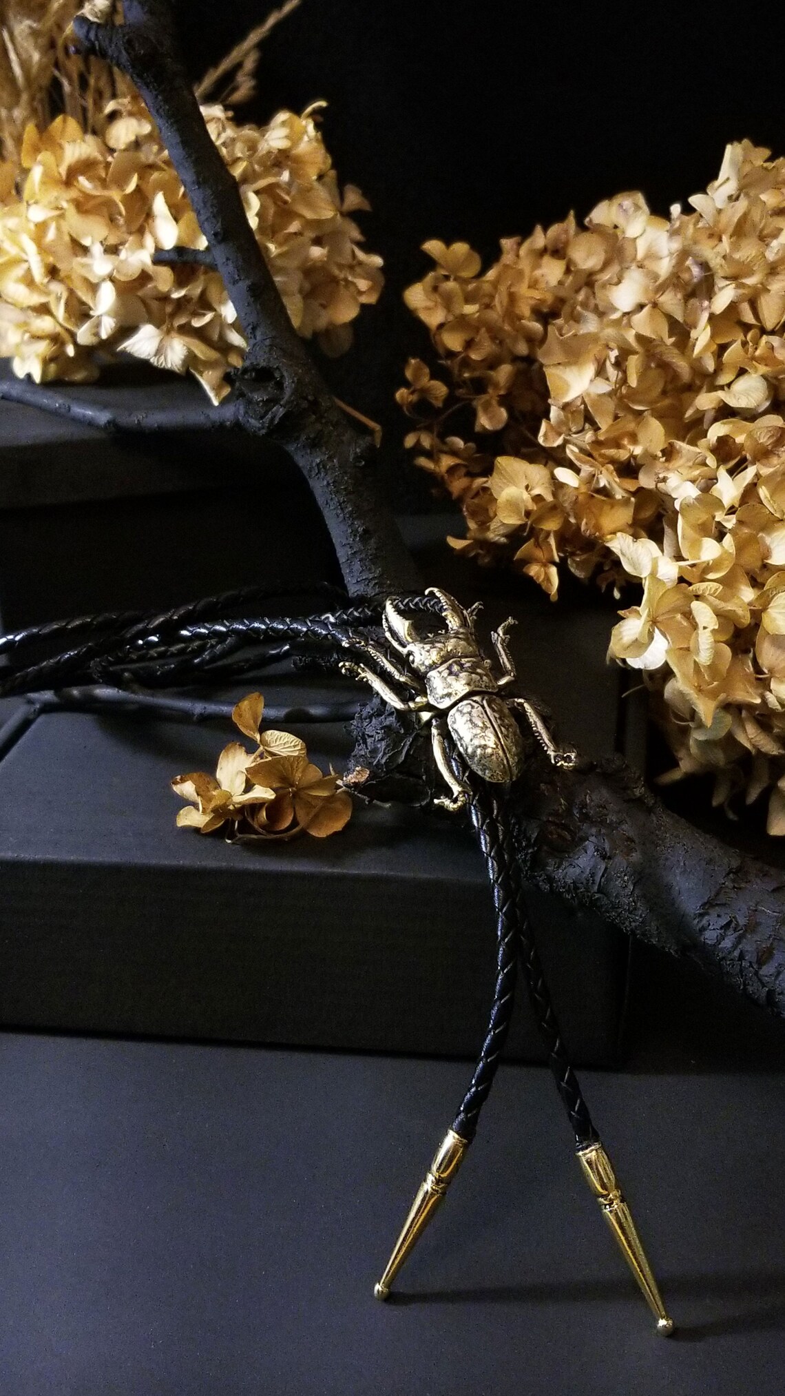STAG - Big Bad Beetle Bolos - Brass Insect Bolo Tie Gift for Men Nature ...