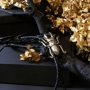 STAG - Big Bad Beetle Bolos - Brass Insect Bolo Tie Gift for Men Nature ...