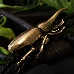 HERCULES - Big Bad Beetle Bolos - Brass Insect Bolo Tie Fashion Jewelry ...