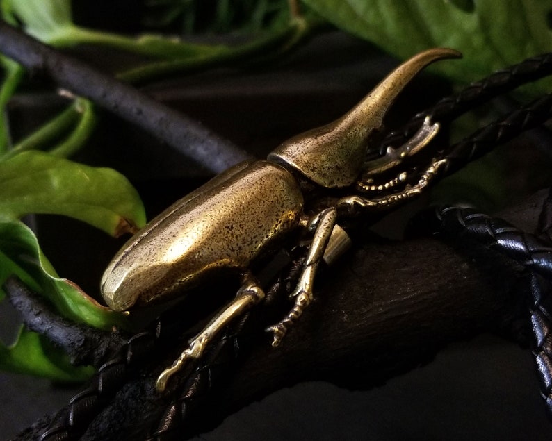 HERCULES Big Bad Beetle Bolos Brass Insect Bolo Tie - Etsy