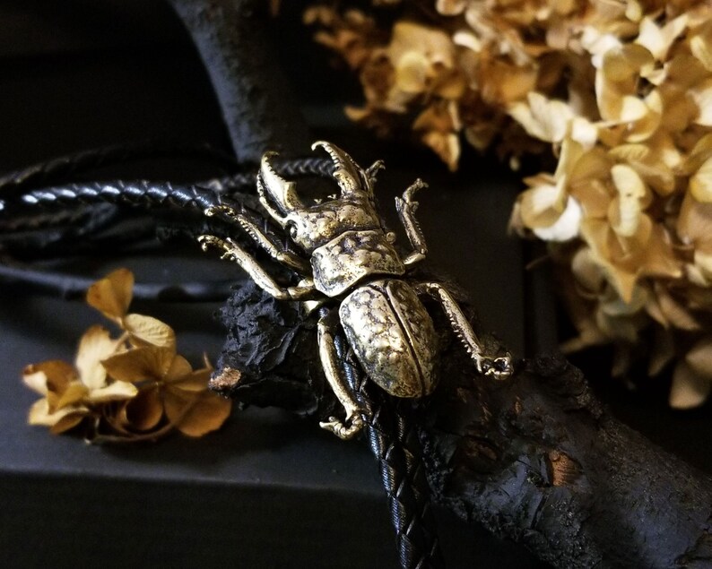 STAG - Big Bad Beetle Bolos - Brass Insect Bolo Tie Gift for Men Nature ...