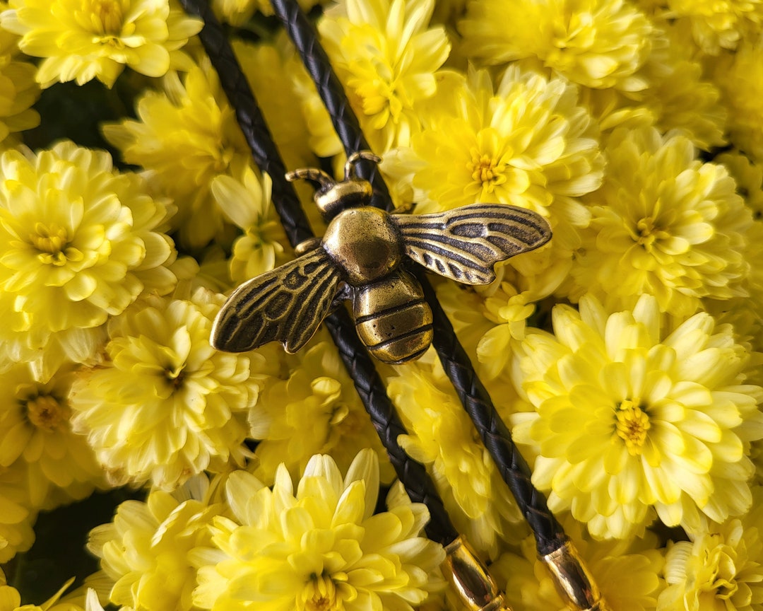 HONEY BEE Big Bad Beetle Bolos Brass Insect Bolo Tie Gift - Etsy