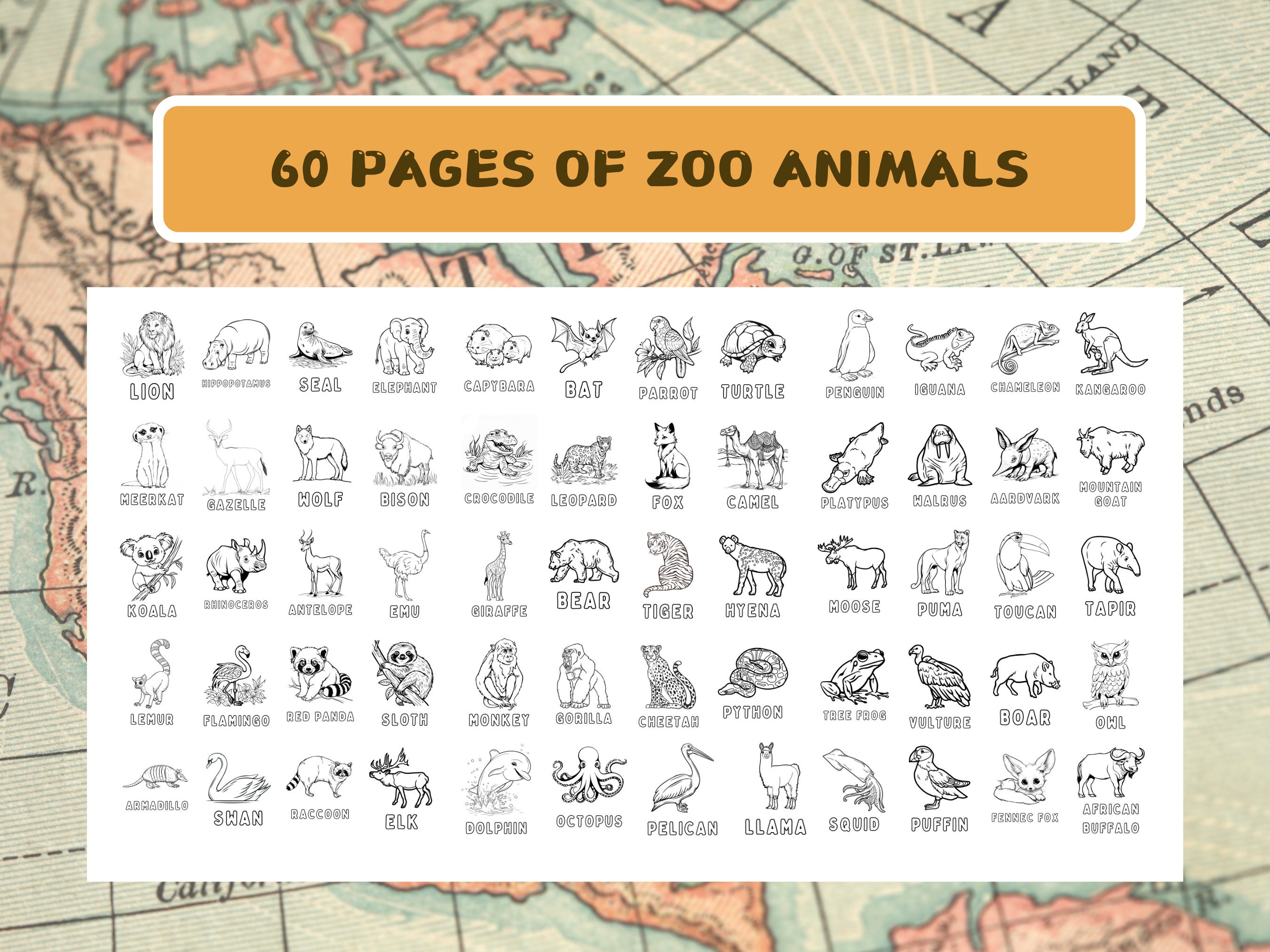60 Zoo Animals With Names Coloring Pages for Kids Learning Materials ...